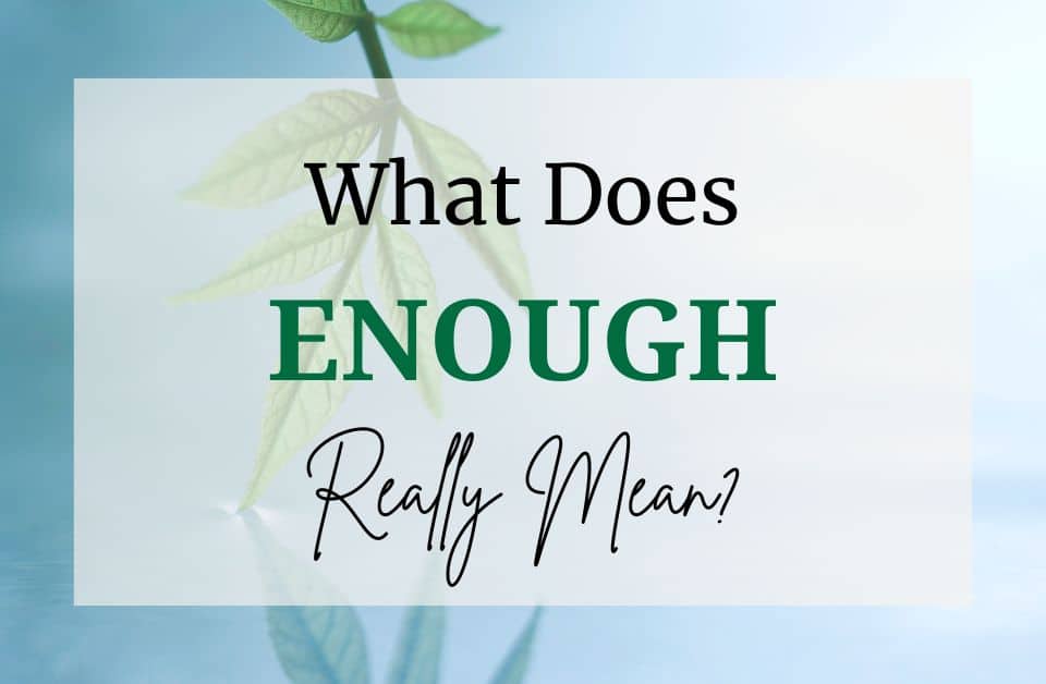 Achieving Financial Peace When You Feel Like I Never Have Enough Money